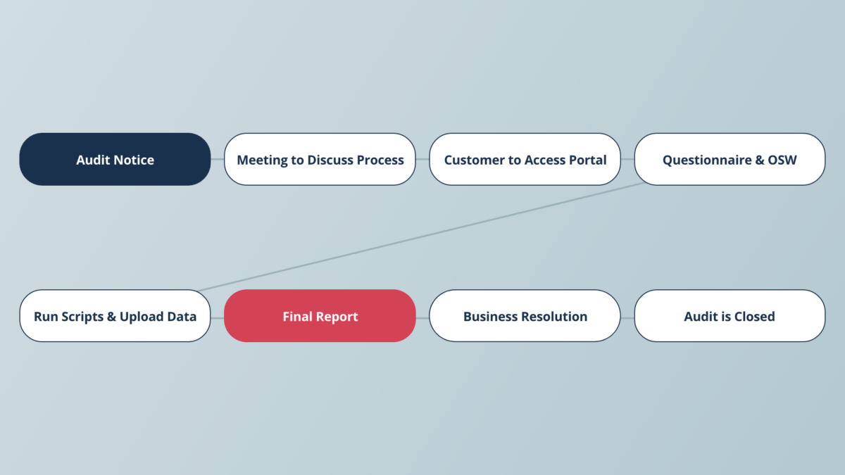 Oracle Audit Solutions – Types, Process & Risk Mitigation